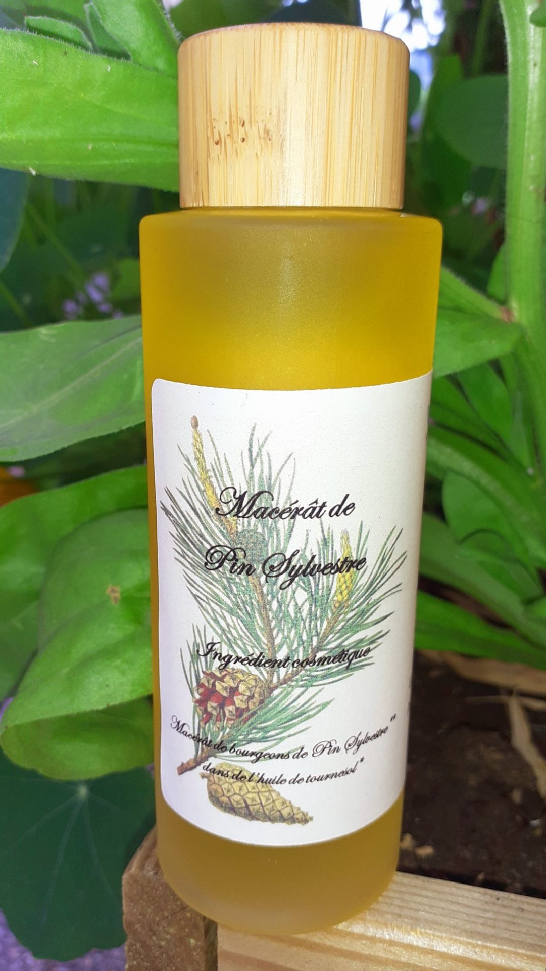 Huile de soins bourgeons de Pin Sylvestre - Fée Des Bulles
